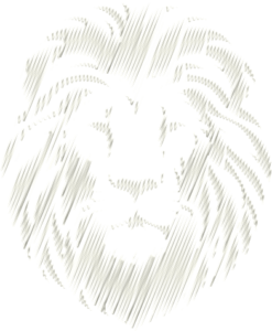 Publicis Lille – Rayonnons ensemble
